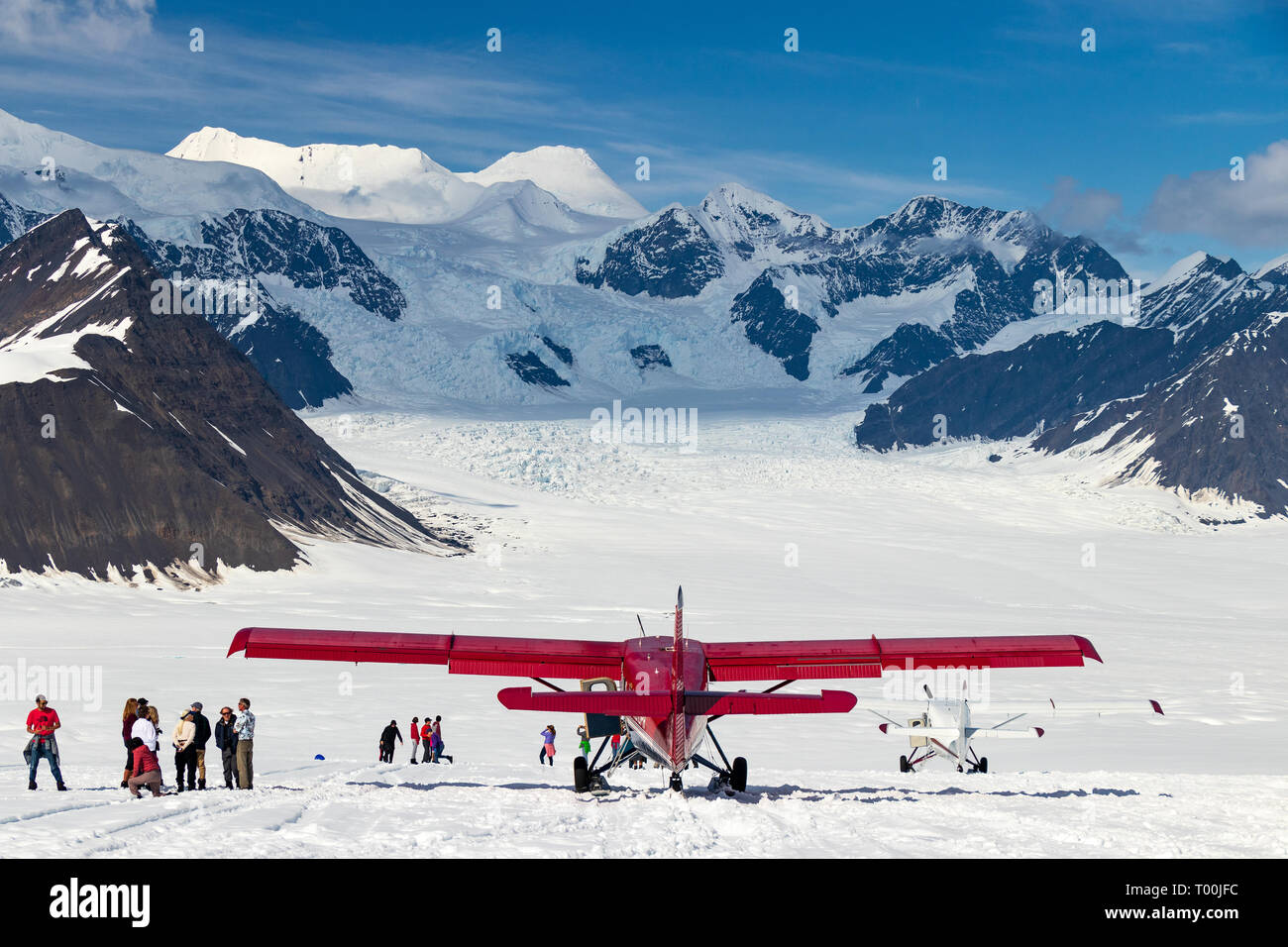 Tourist flight walking on glacier in the Alaska Range Stock Photo - Alamy