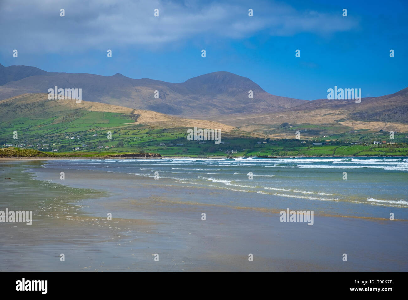 Fermoyle Beach on Dingle Peninsula, Co Kerry, Ireland Stock Photo - Alamy