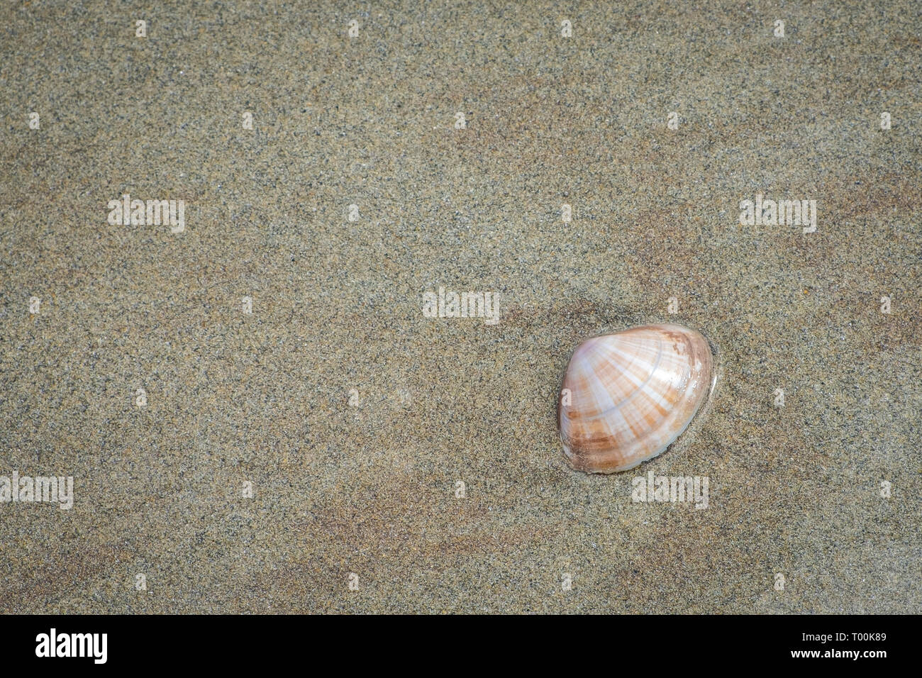 Fermoyle Beach on Dingle Peninsula, Co Kerry, Ireland Stock Photo - Alamy
