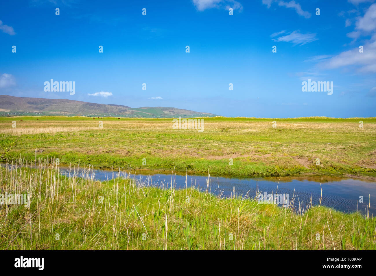Fermoyle Beach on Dingle Peninsula, Co Kerry, Ireland Stock Photo - Alamy