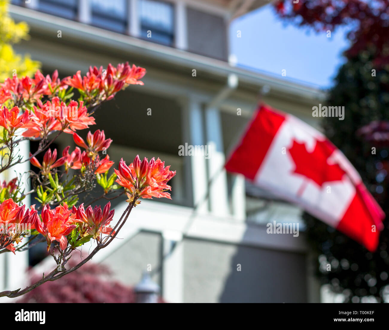 Middle class home outside hi-res stock photography and images - Alamy