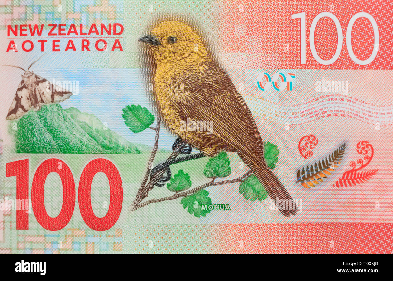 100 New Zealand Dollar