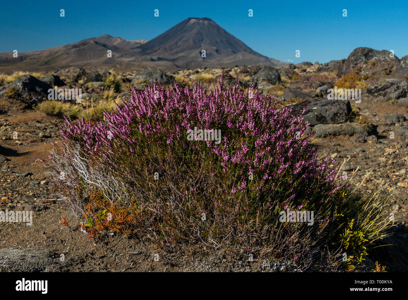 Scoria hi-res stock photography and images - Alamy