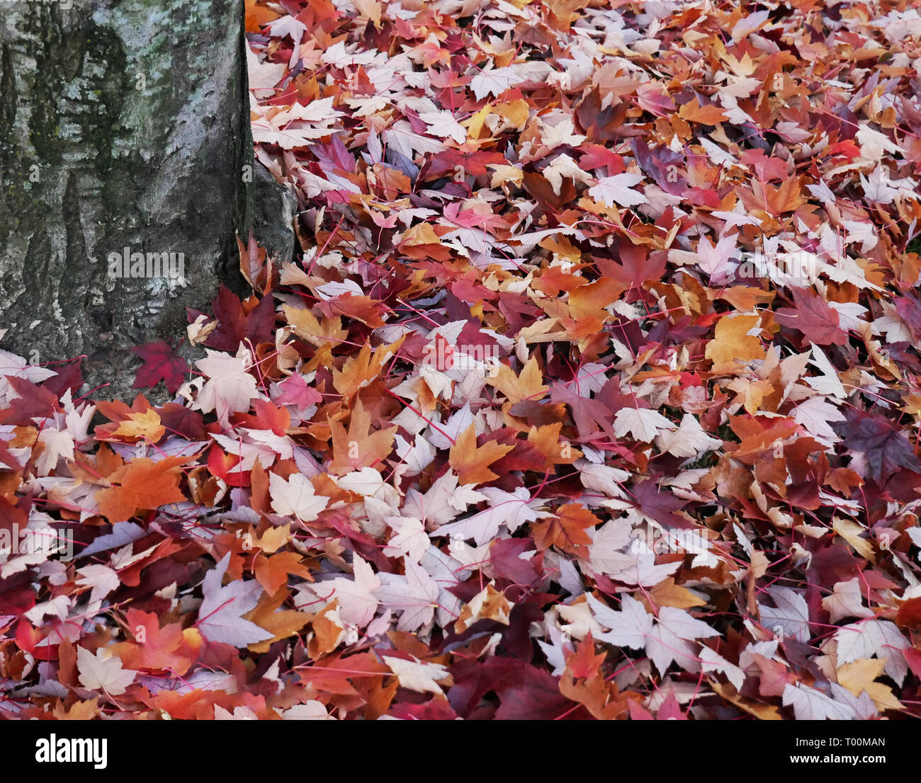 Crunch space hi-res stock photography and images - Alamy