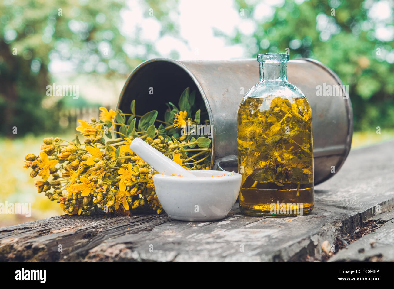 Hypericum perforatum oil hi-res stock photography and images - Alamy