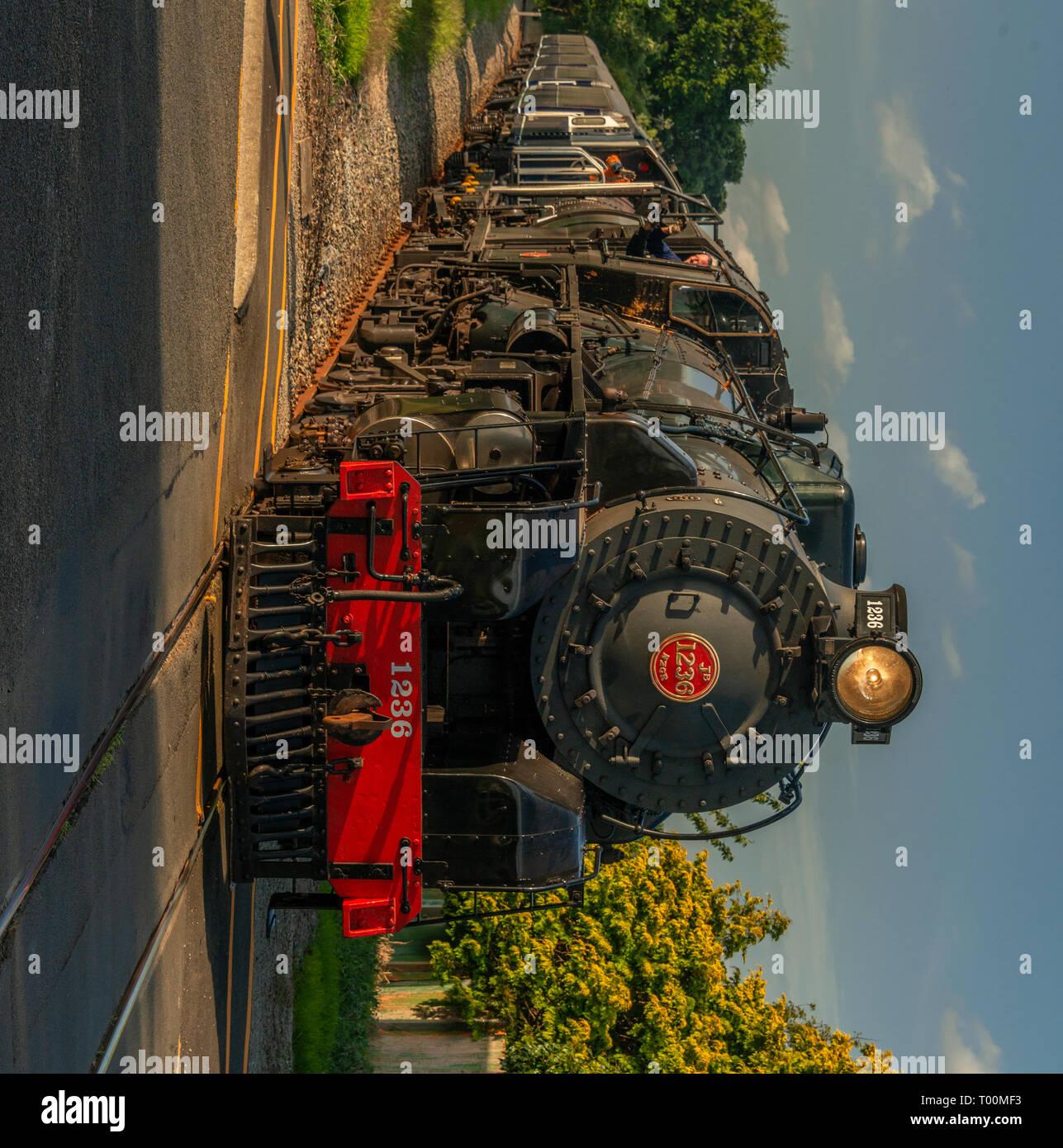 New zealand steam train hi-res stock photography and images - Alamy