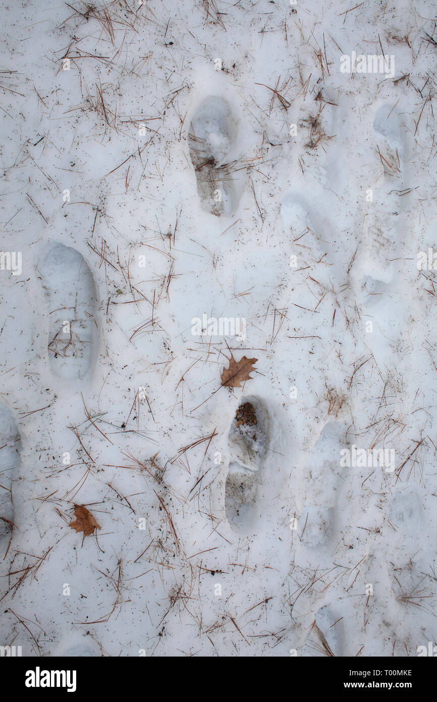 Trail of foot prints hi-res stock photography and images - Alamy