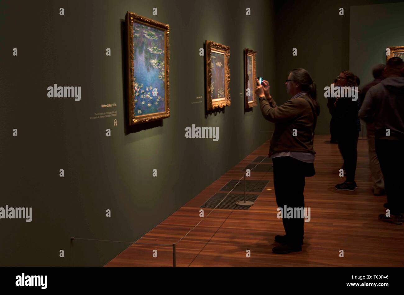 A woman takes a photo of one of the many Monet paintings on display at ...