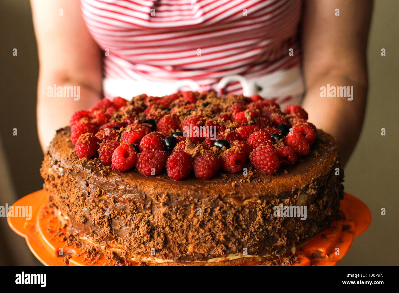 Woman's hands holding Birthday cake at home Stock Photo - Alamy