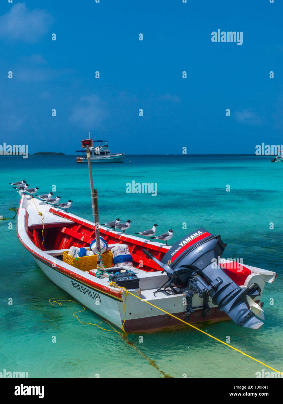 Fishing Boat floating on tropical beach of Cayo pirata Island in Los ...