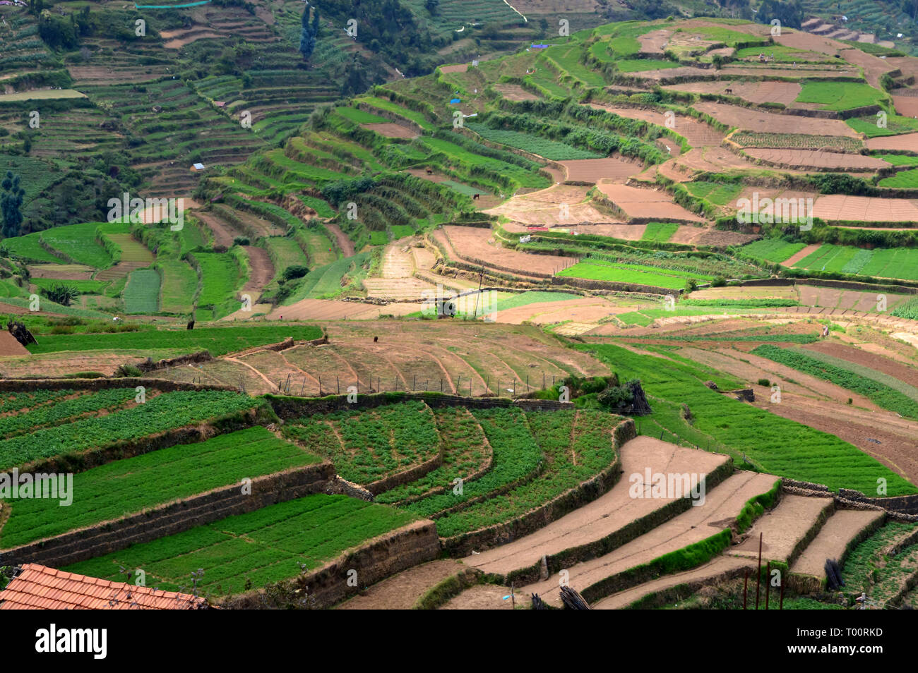 Tamilnadu Village High Resolution Stock Photography and Images - Alamy