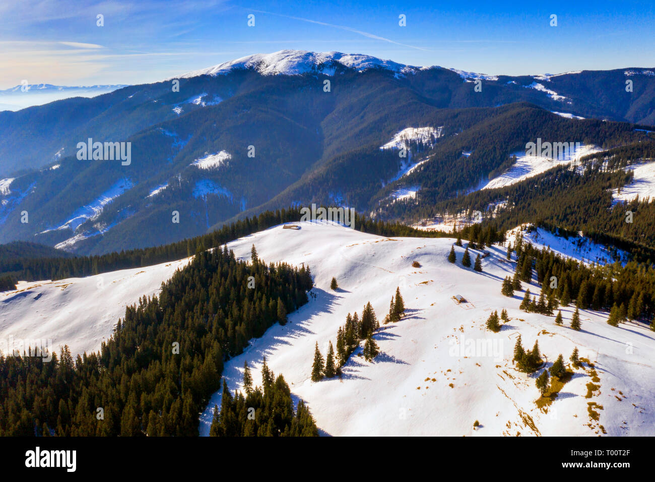 Winter aerial landscape, evergreen forest and white pasture Stock Photo ...