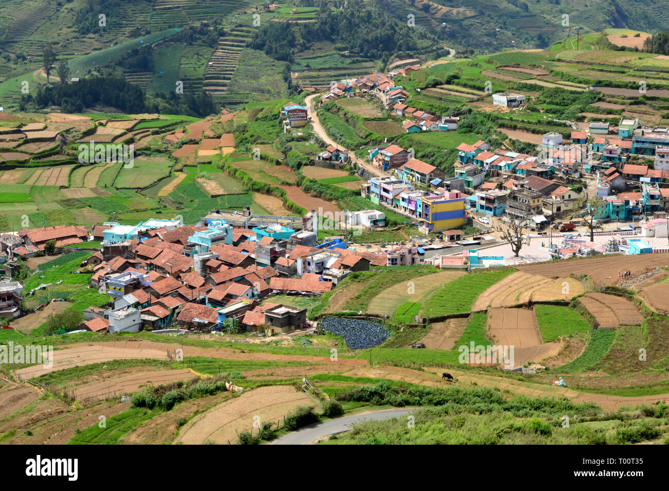 Poombarai Village and terraced farming in Kodaikanal Stock Photo - Alamy