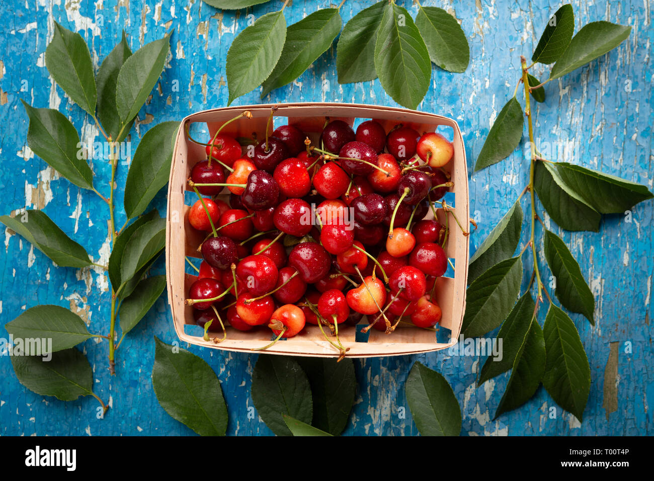 Harvest of organic cherry in box, food above Stock Photo - Alamy