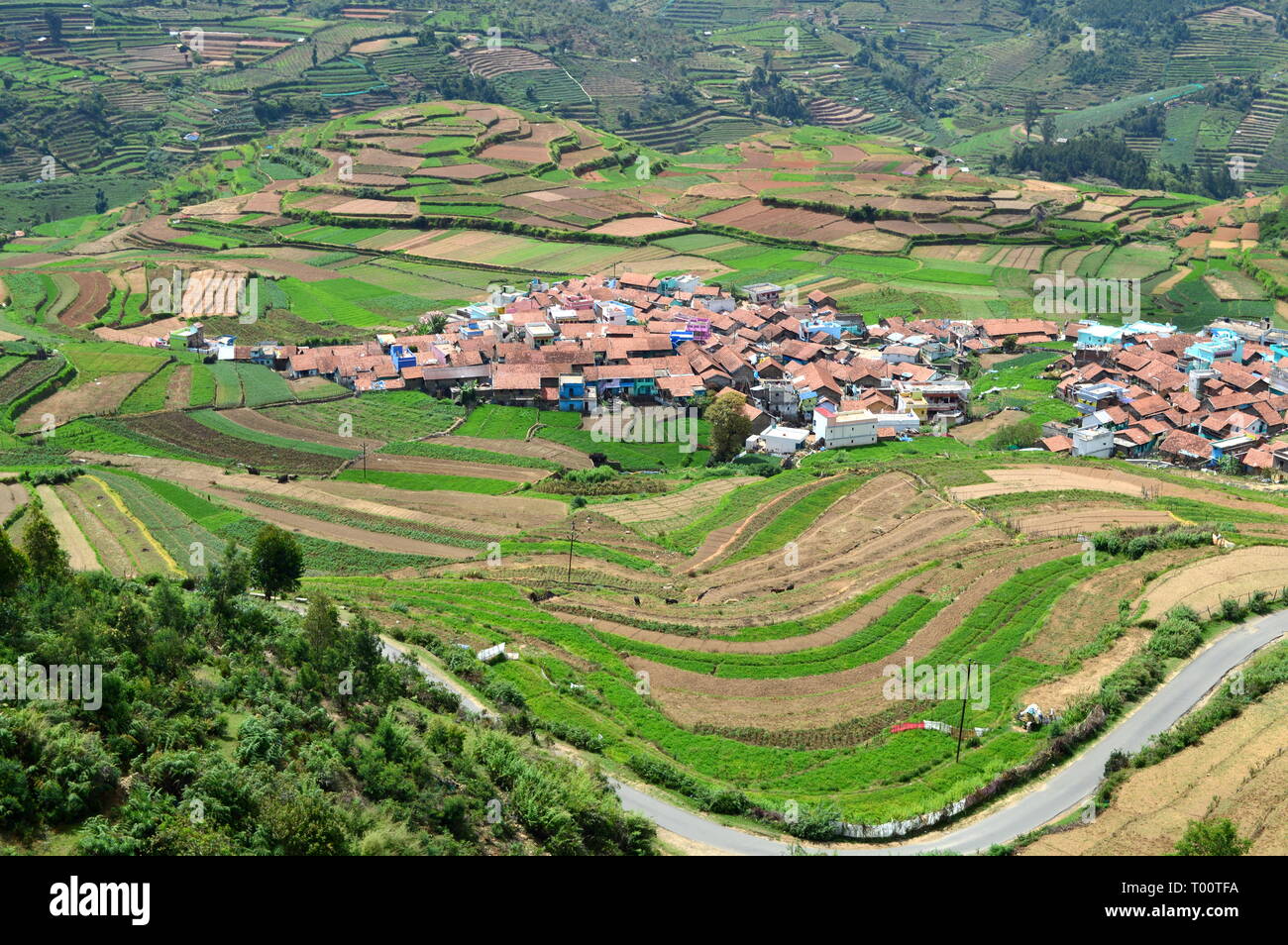 Poombarai Village and terraced farming in Kodaikanal Stock Photo - Alamy