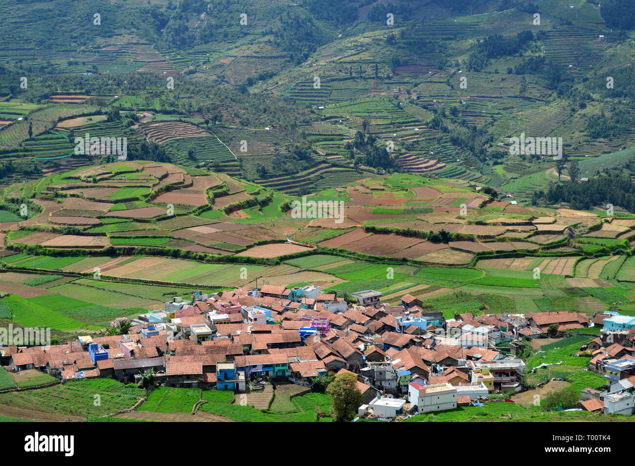Poombarai Village and terraced farming in Kodaikanal Stock Photo - Alamy
