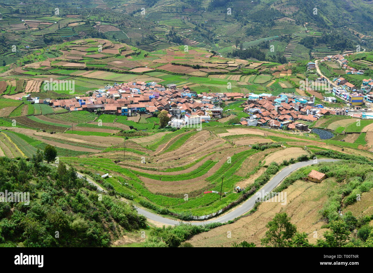 Poombarai Village and terraced farming in Kodaikanal Stock Photo - Alamy