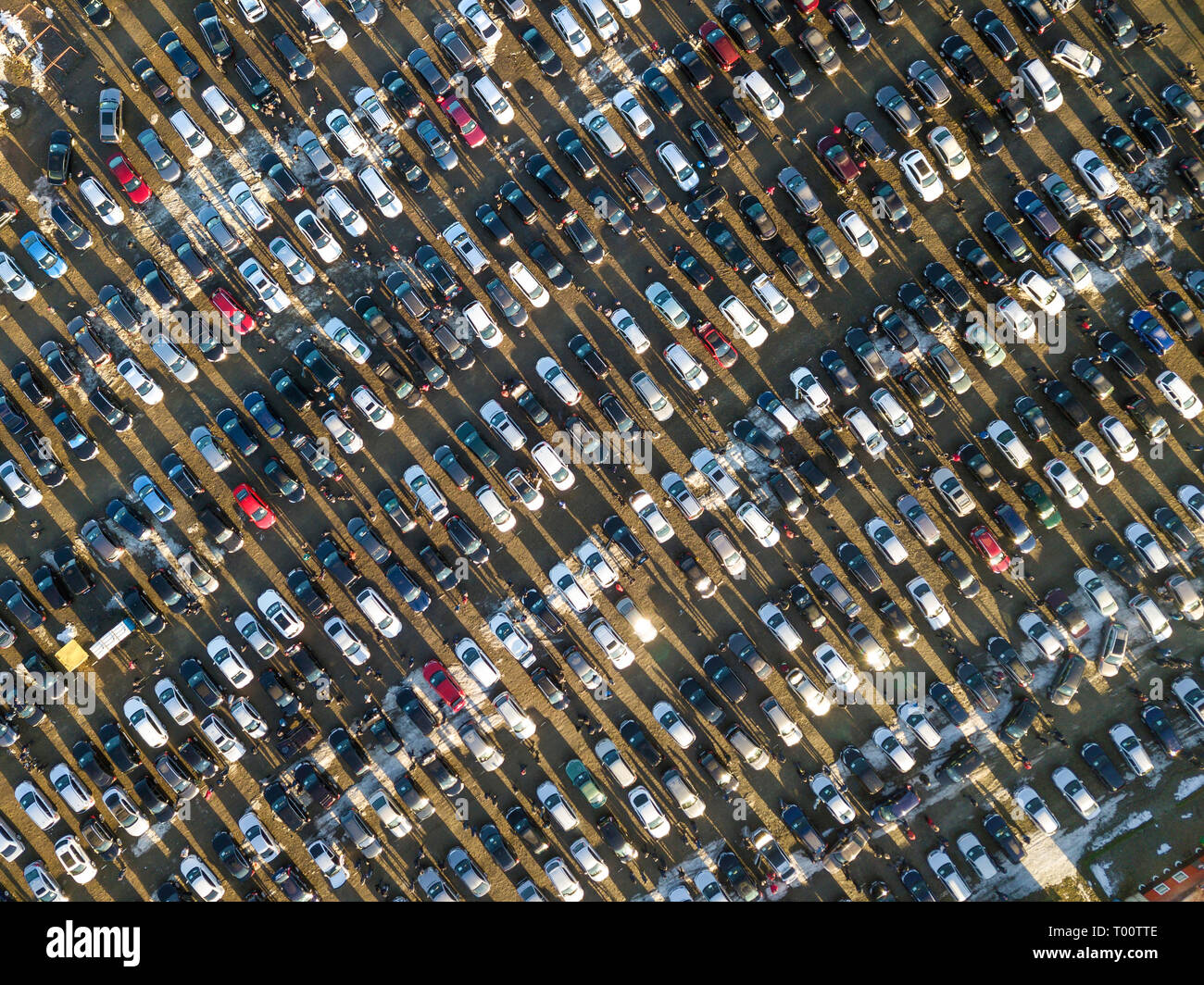 Aerial drone image of many cars parked on parking lot, top view Stock ...