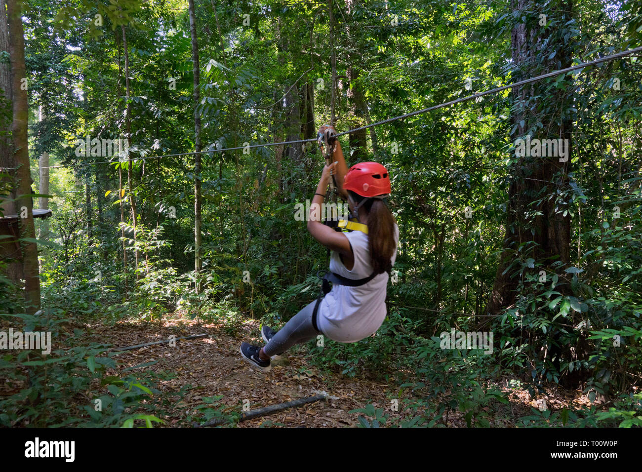 Asian tourists with instructor on an obstacle course in the nature ...