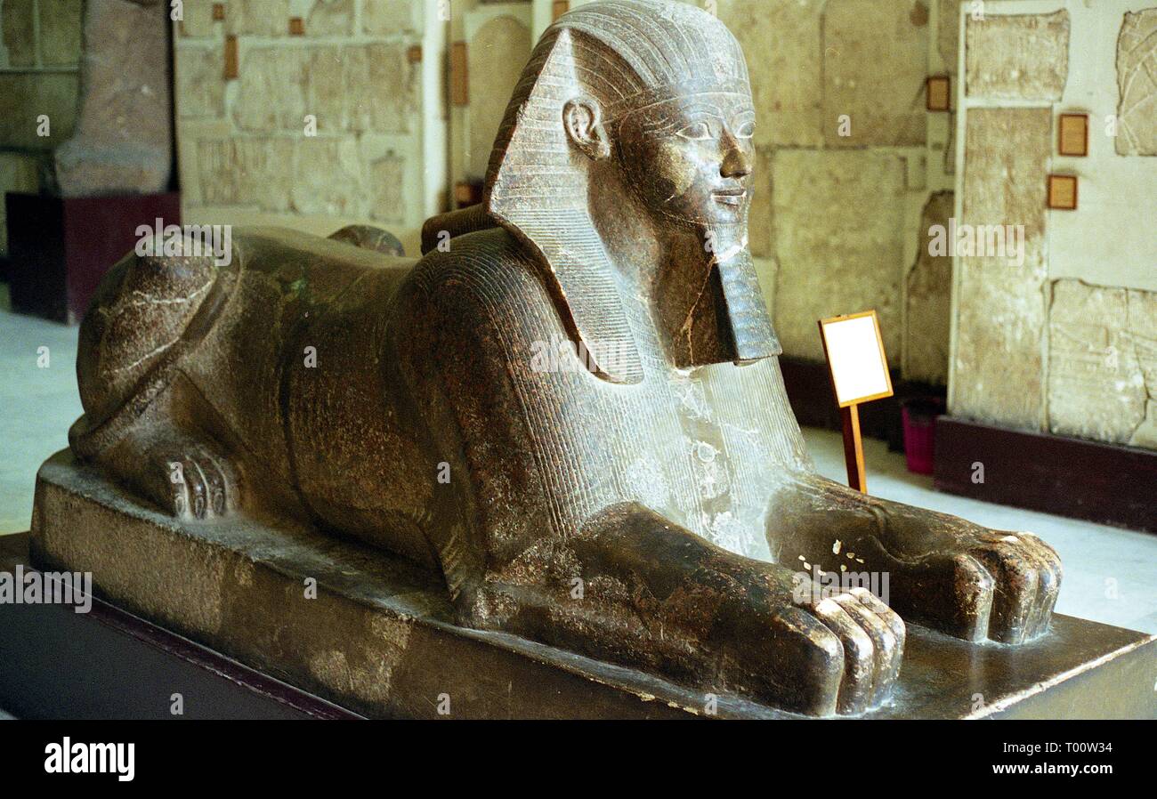 Tutankhamun tiye coffin hi-res stock photography and images - Alamy