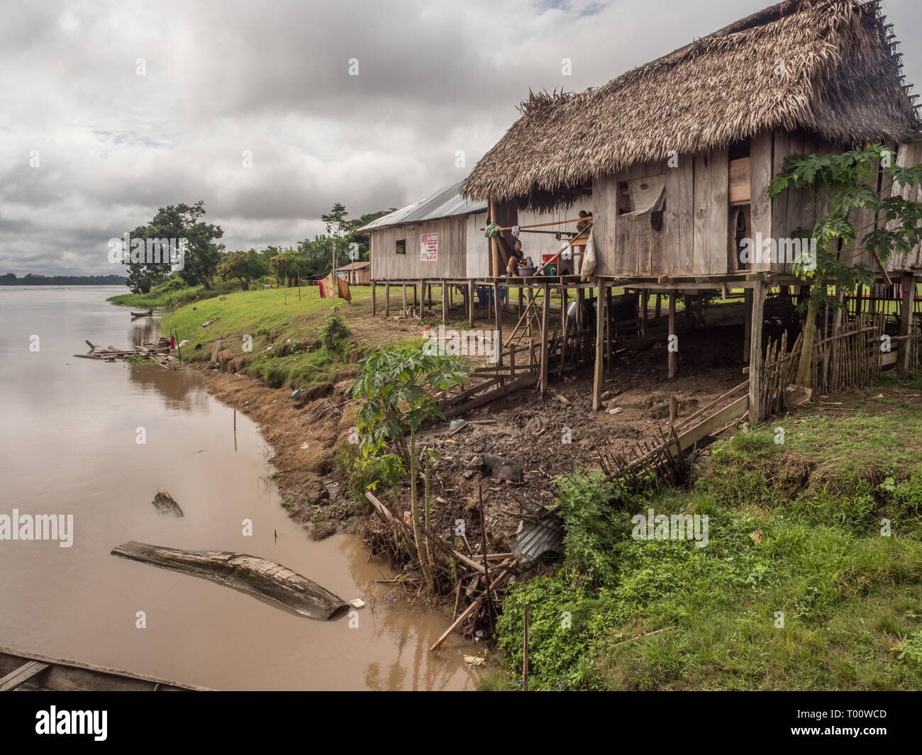 Amazon River, Peru - December 04 , 2018: View of village on the bank of ...