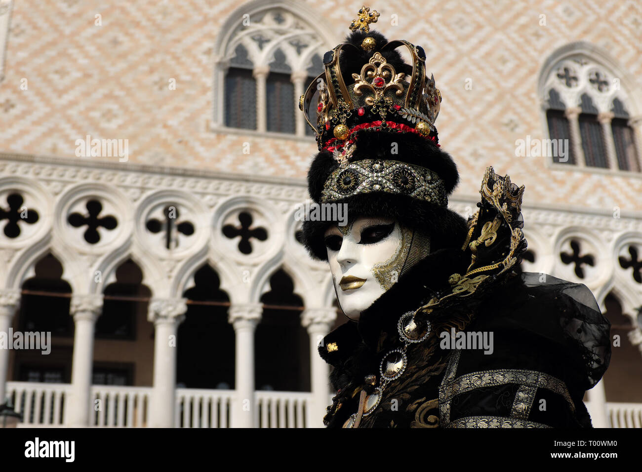 Venetian Mask Male