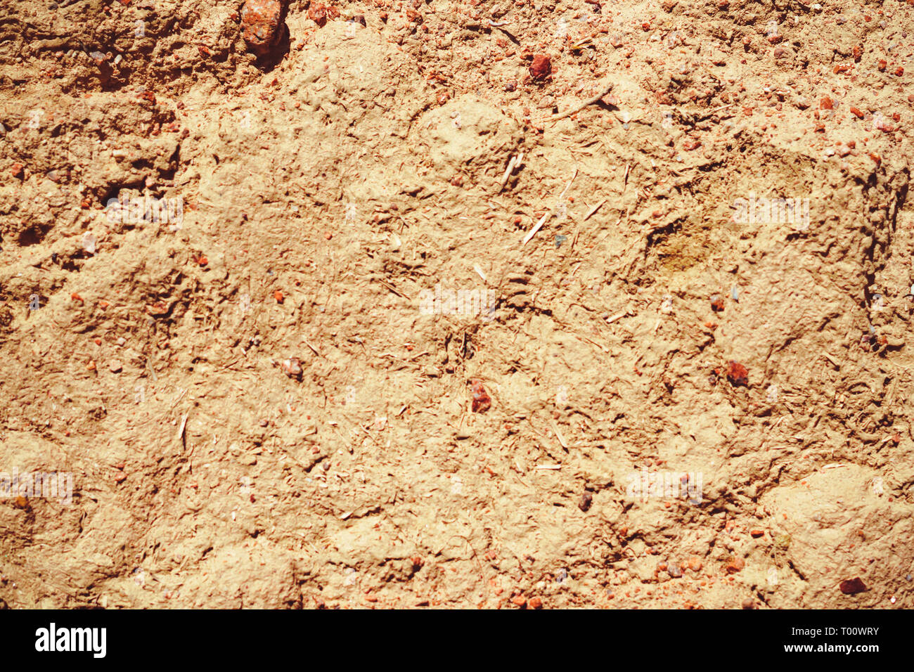 dry earth and sand texture Stock Photo - Alamy