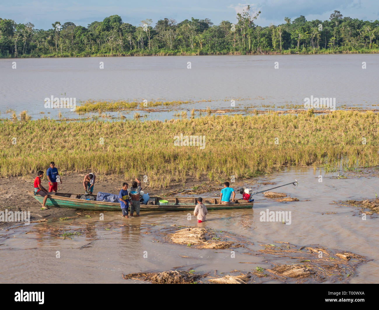 Amazon River, Peru - December 04 , 2018: During the low water season ...