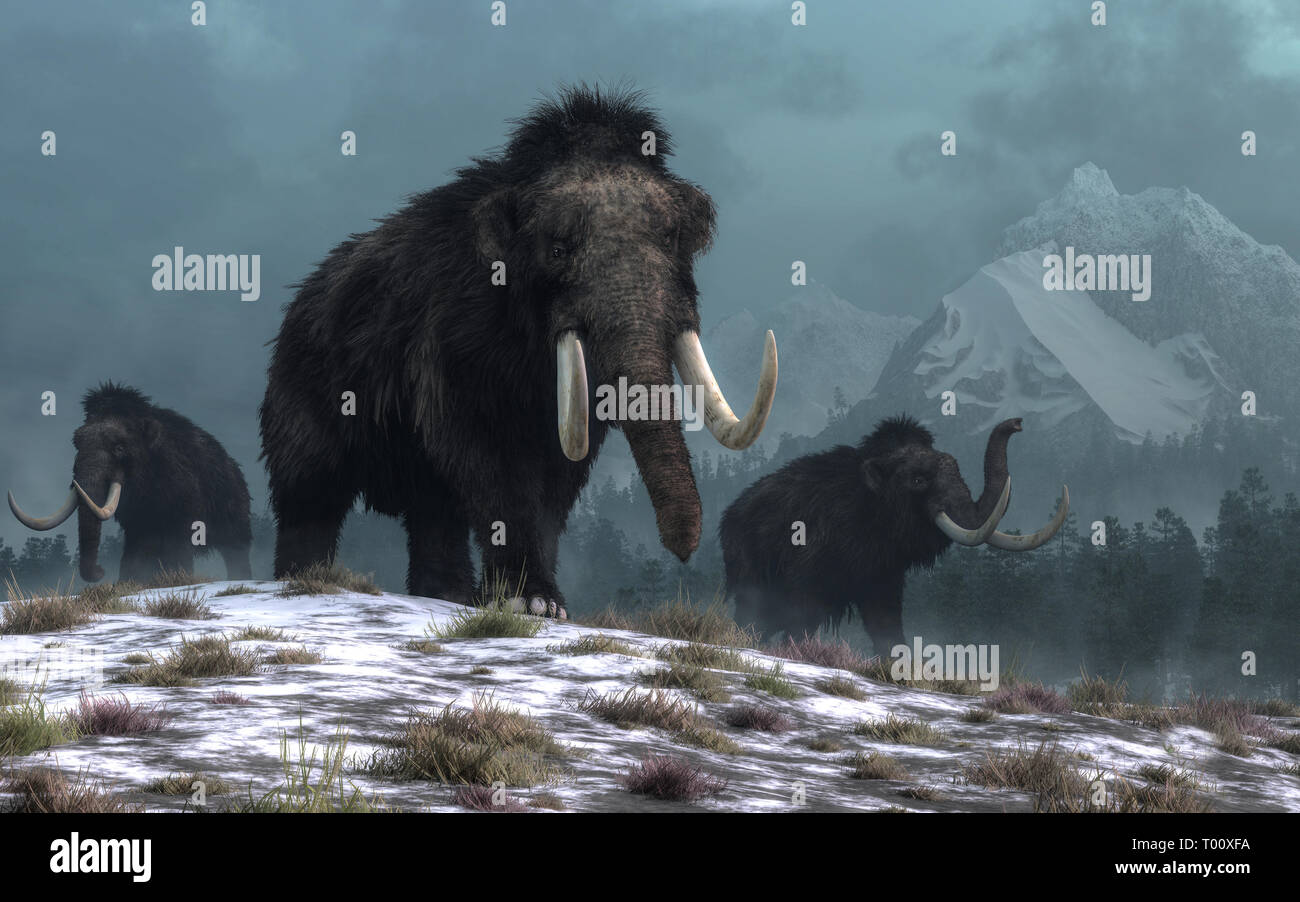 Woolly Mammoth Tree Woolly Mammoth | Cenozoic Survival Wiki | Fandom