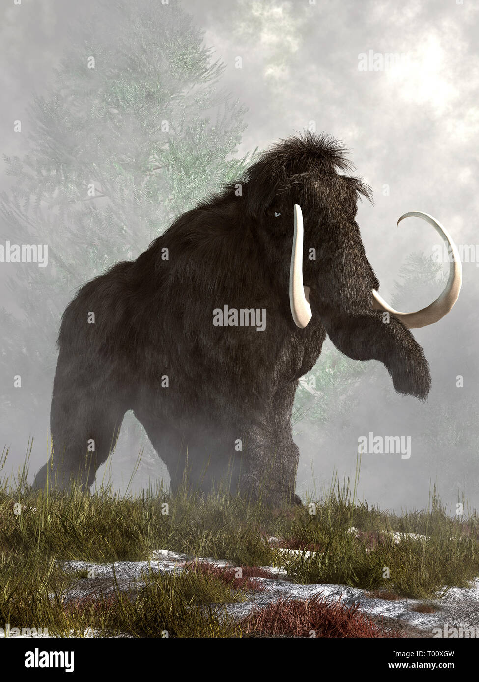 On a misty morning, a grey woolly mammoth trudges through the snow and ...