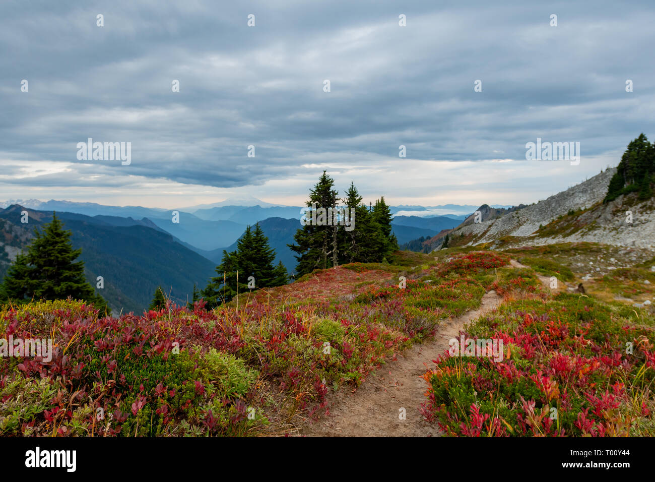 Autumn Colors Line Trai Through Tatoosh Range in Washington Stock Photo ...