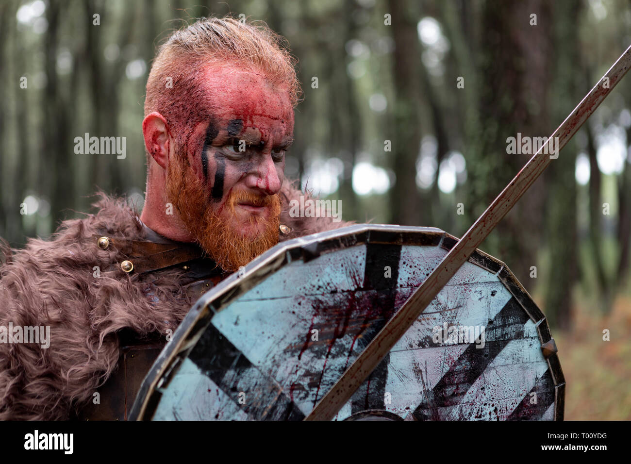 Real viking in the countryside. He is coming the war Stock Photo - Alamy