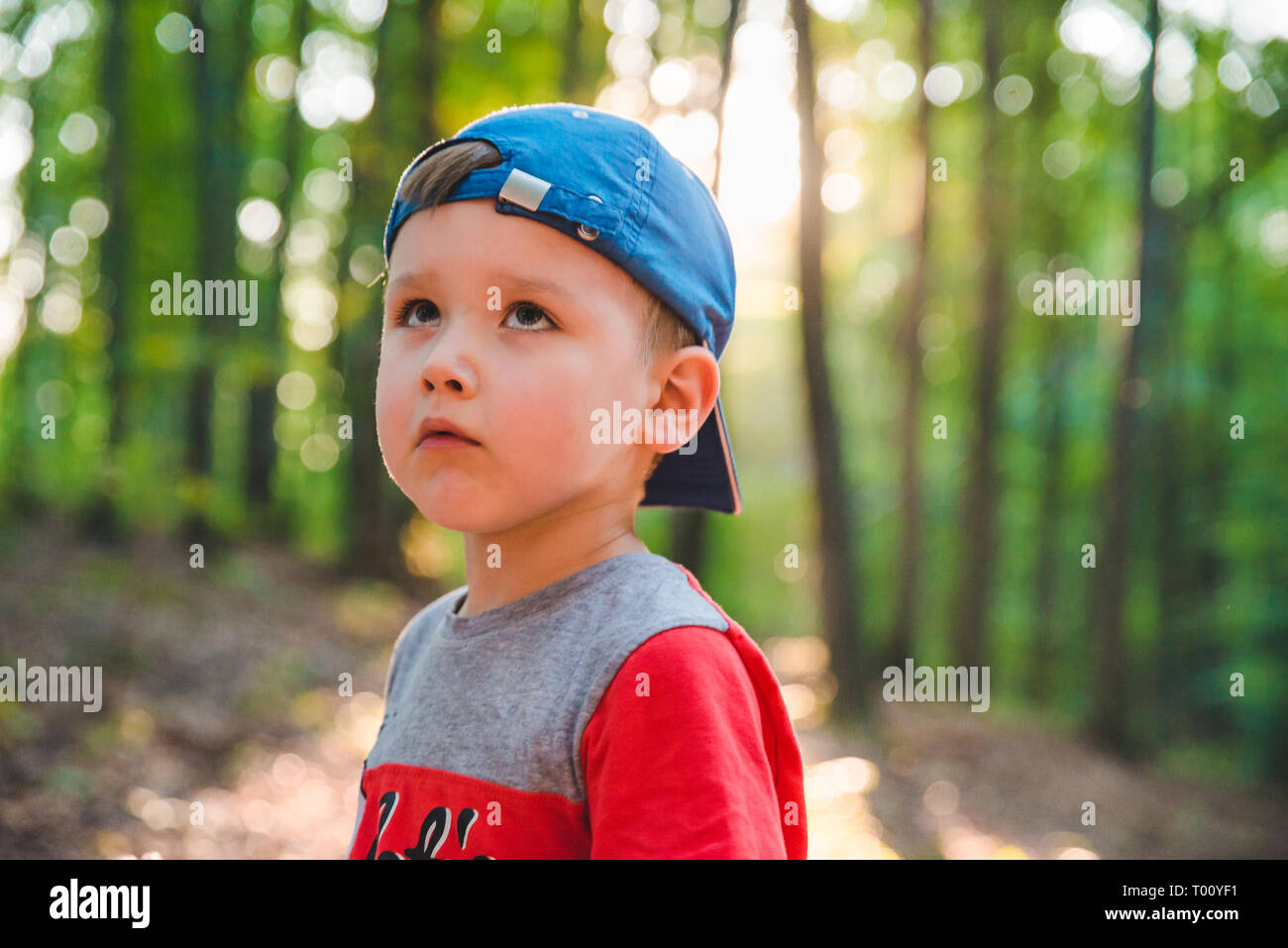 little cute kid portrait outdoors. sunset in forest park on background ...