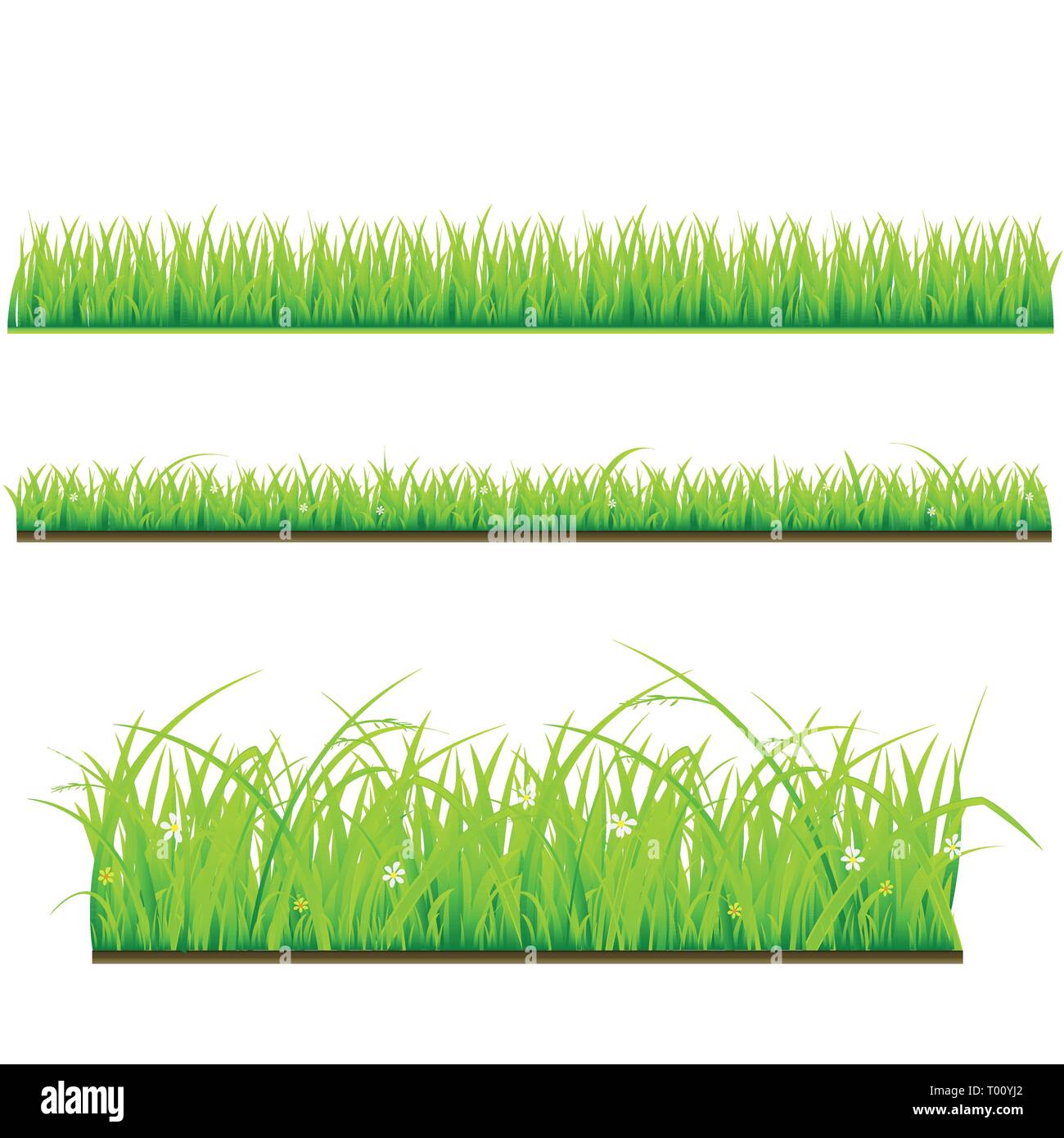 Fresh green grass border Stock Vector Images - Alamy