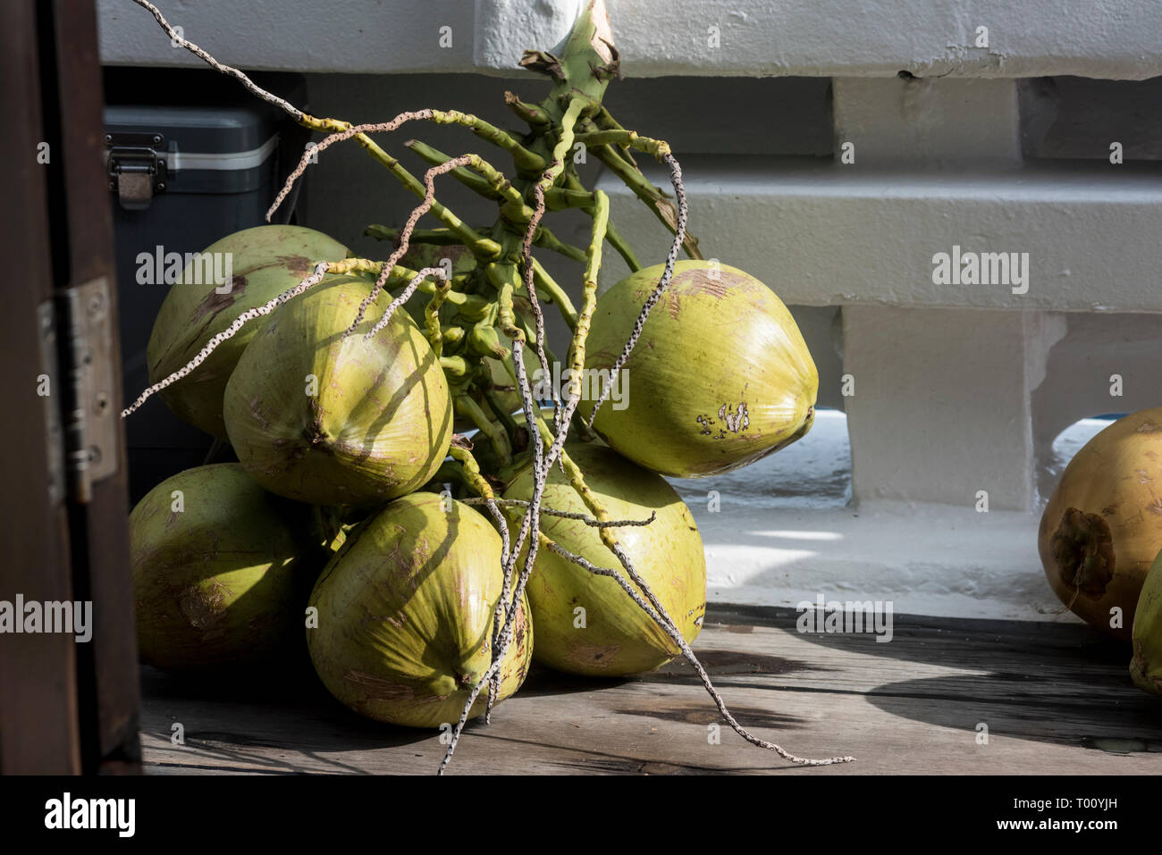 A bunch of coconuts Stock Photo - Alamy