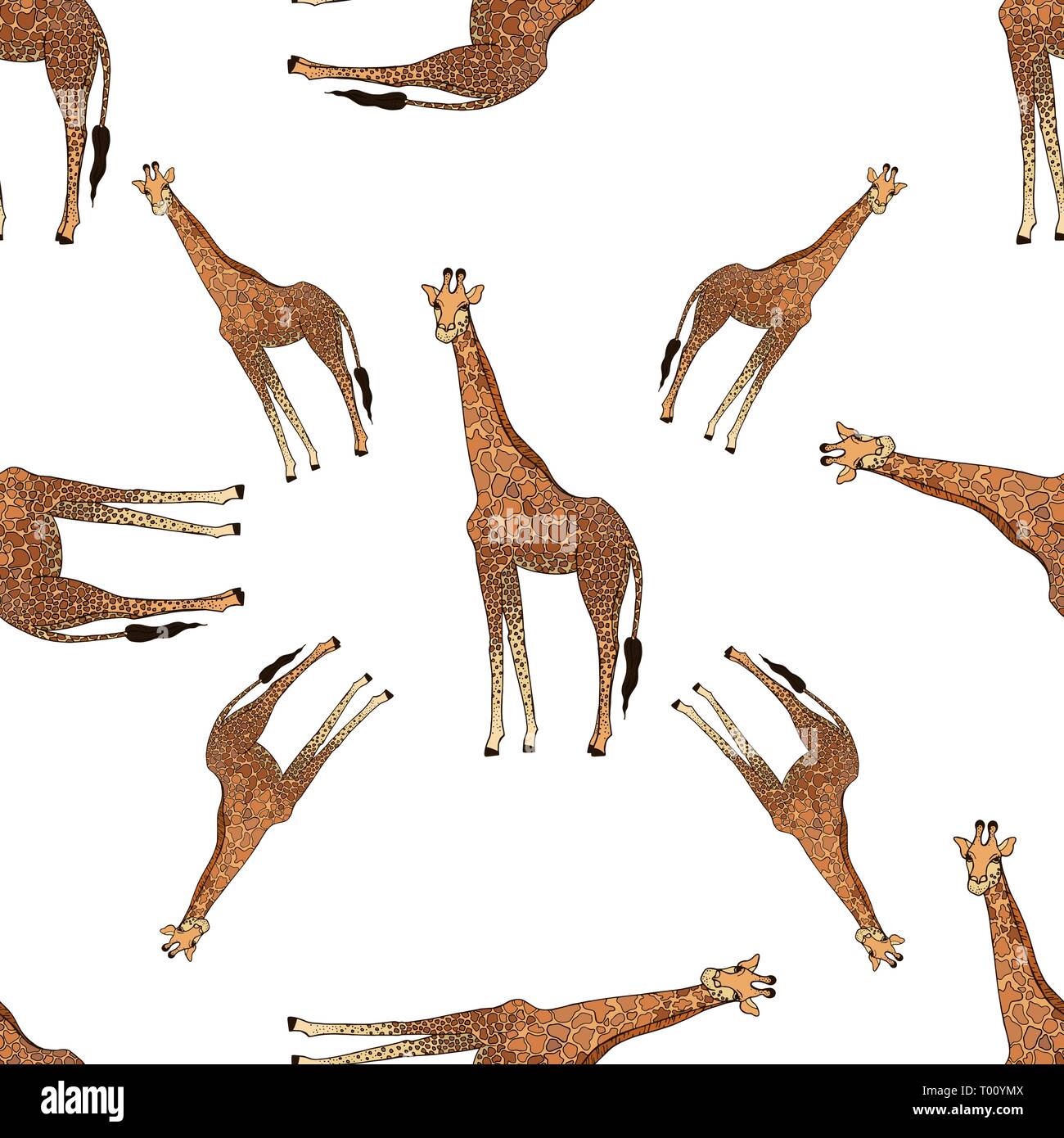 Giraffe pen drawing hi-res stock photography and images - Alamy