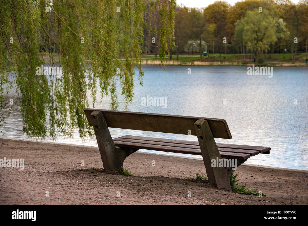 Empty bench overlooking calm sea bench hi-res stock photography and ...
