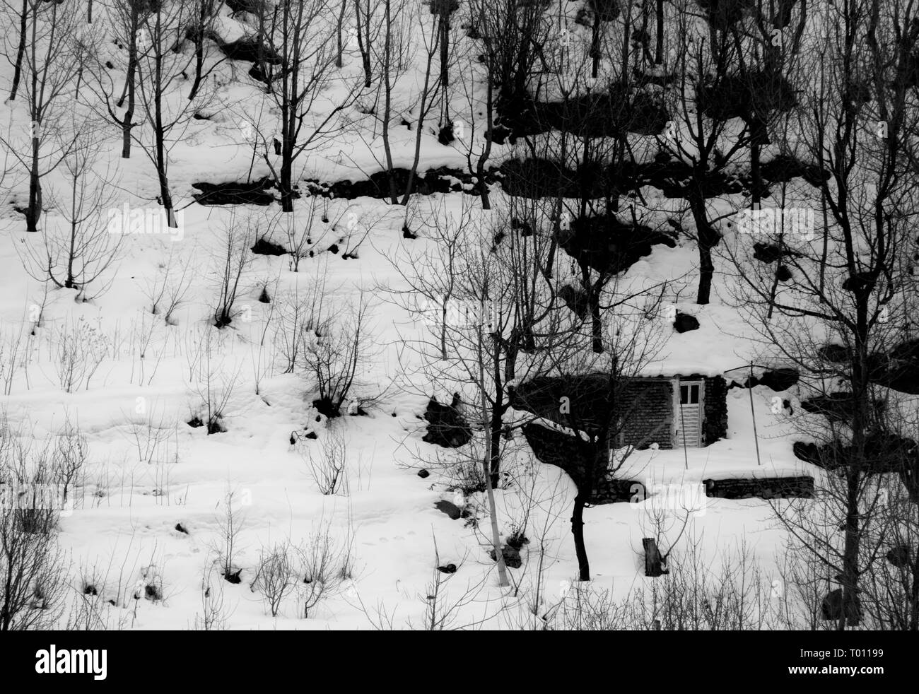 Building under the snow Stock Photo - Alamy