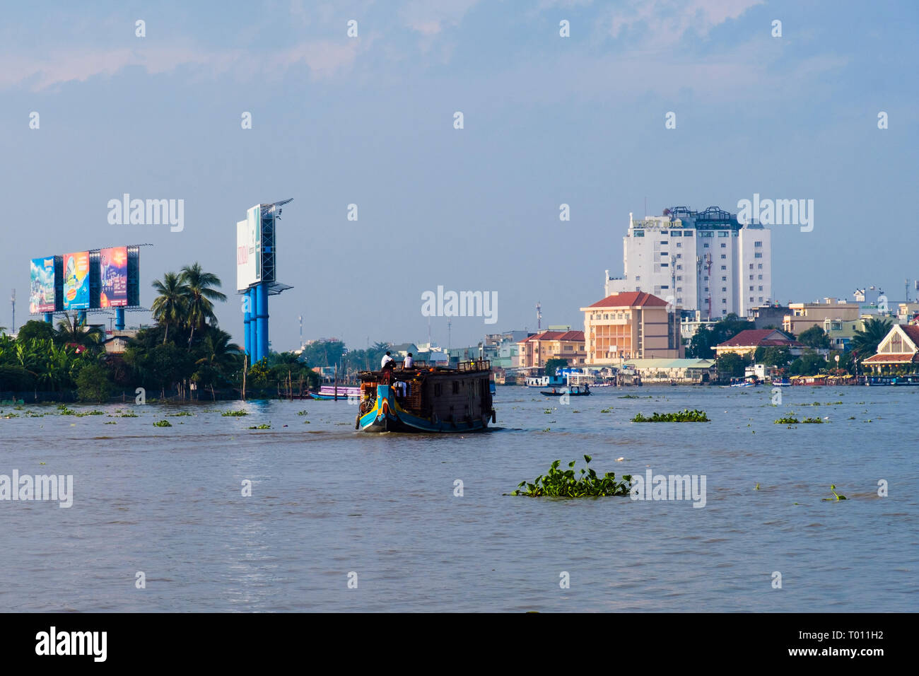 Hau River scene with clumps of Water Hyacinth floating downstream in ...