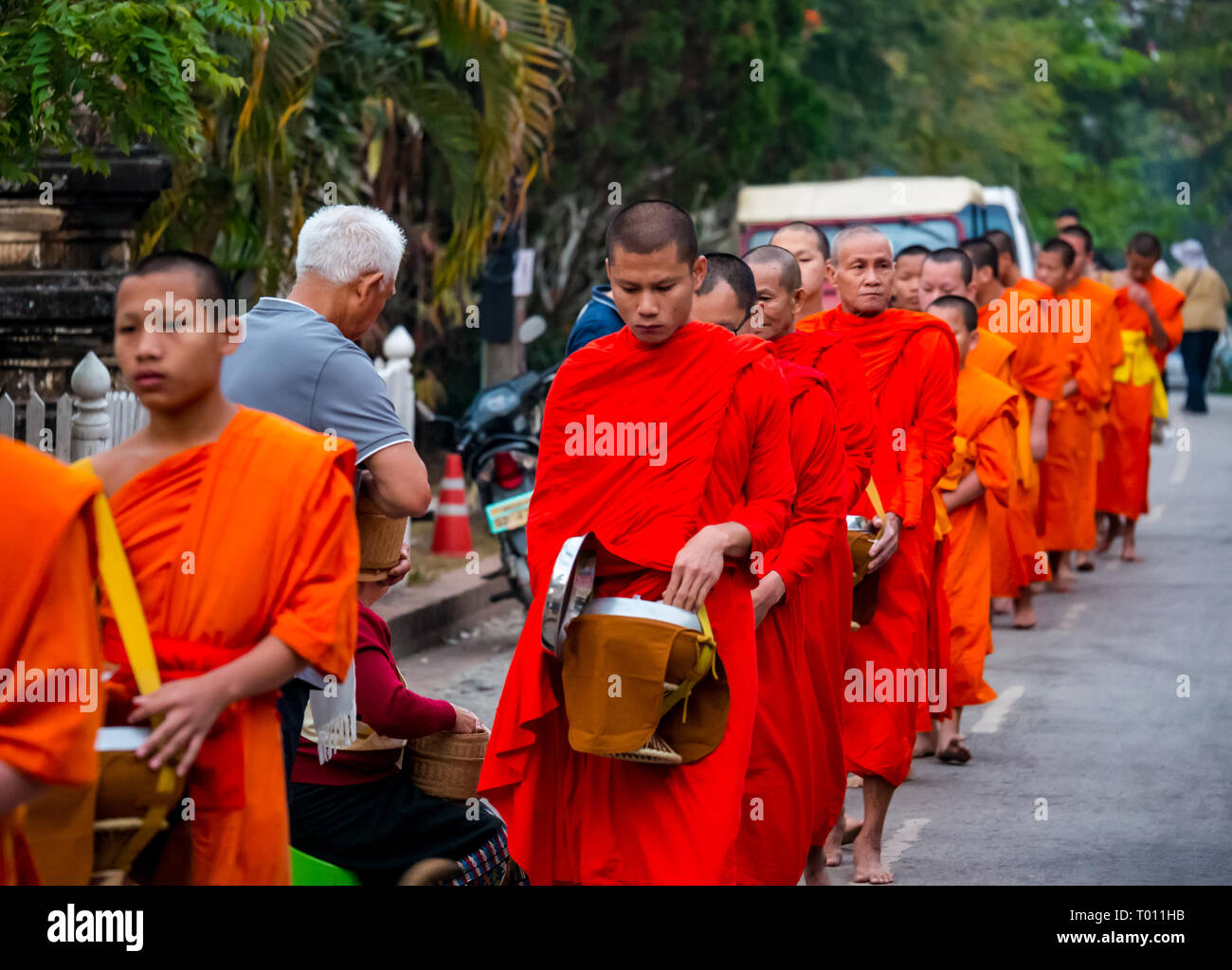 Buddhist monks in orange robes queue for morning alms giving ceremony ...