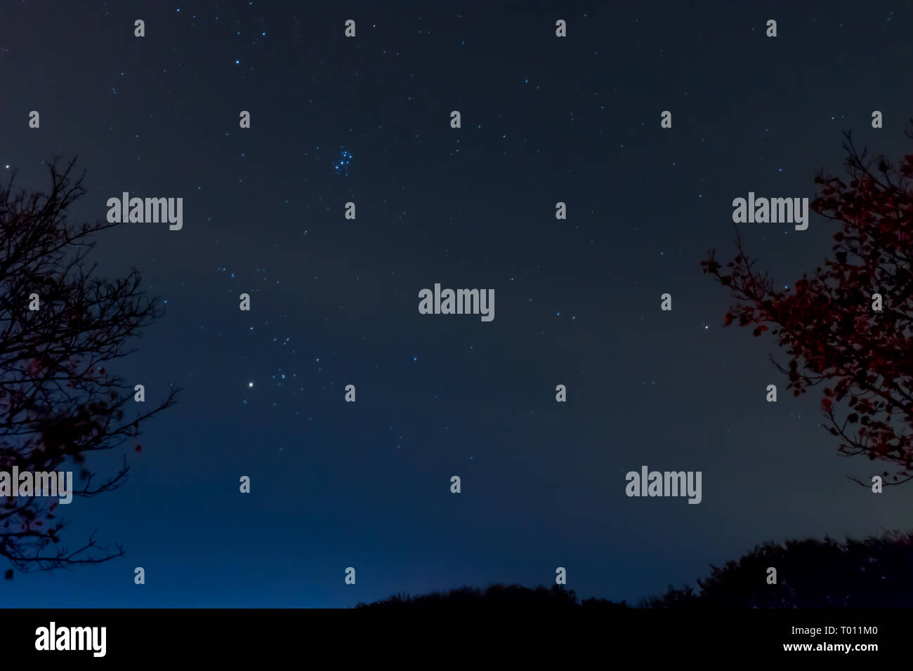 Vector illustration stars hi-res stock photography and images - Alamy