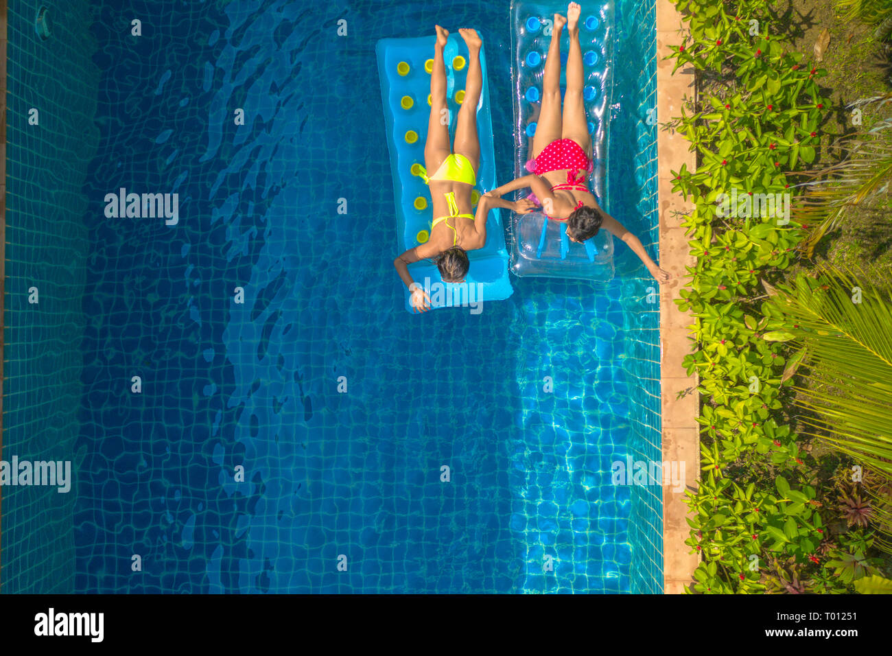 aerial top view above swimming pool. woman in yellow bikini and woman ...