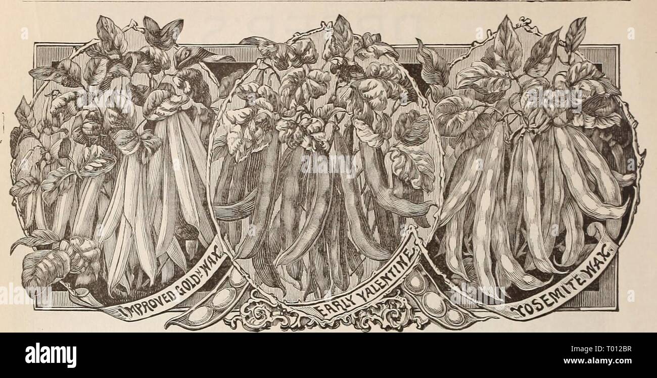 Dreer's garden calendar for 1892 Stock Photo - Alamy