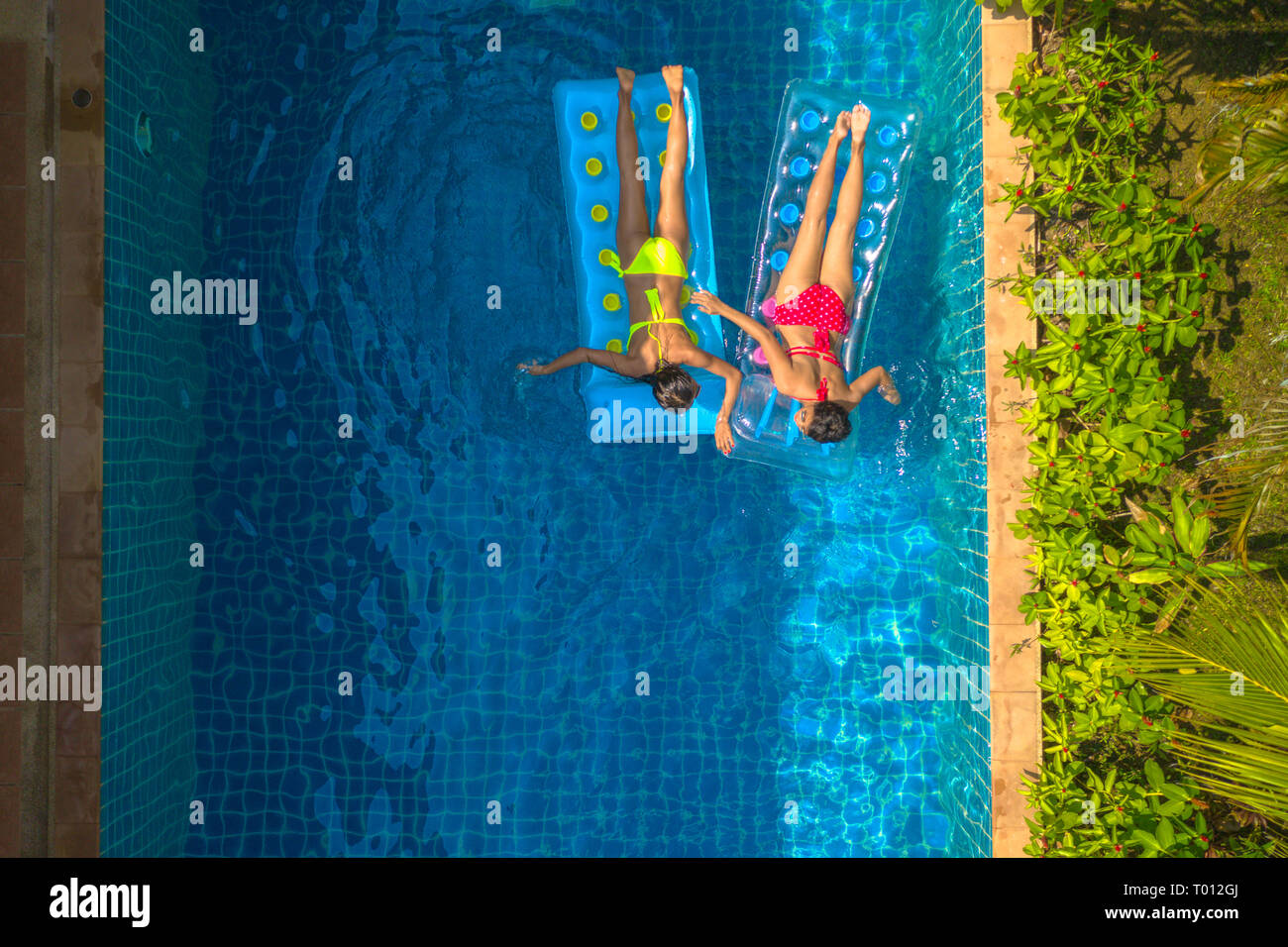 aerial top view above swimming pool. woman in yellow bikini and woman ...