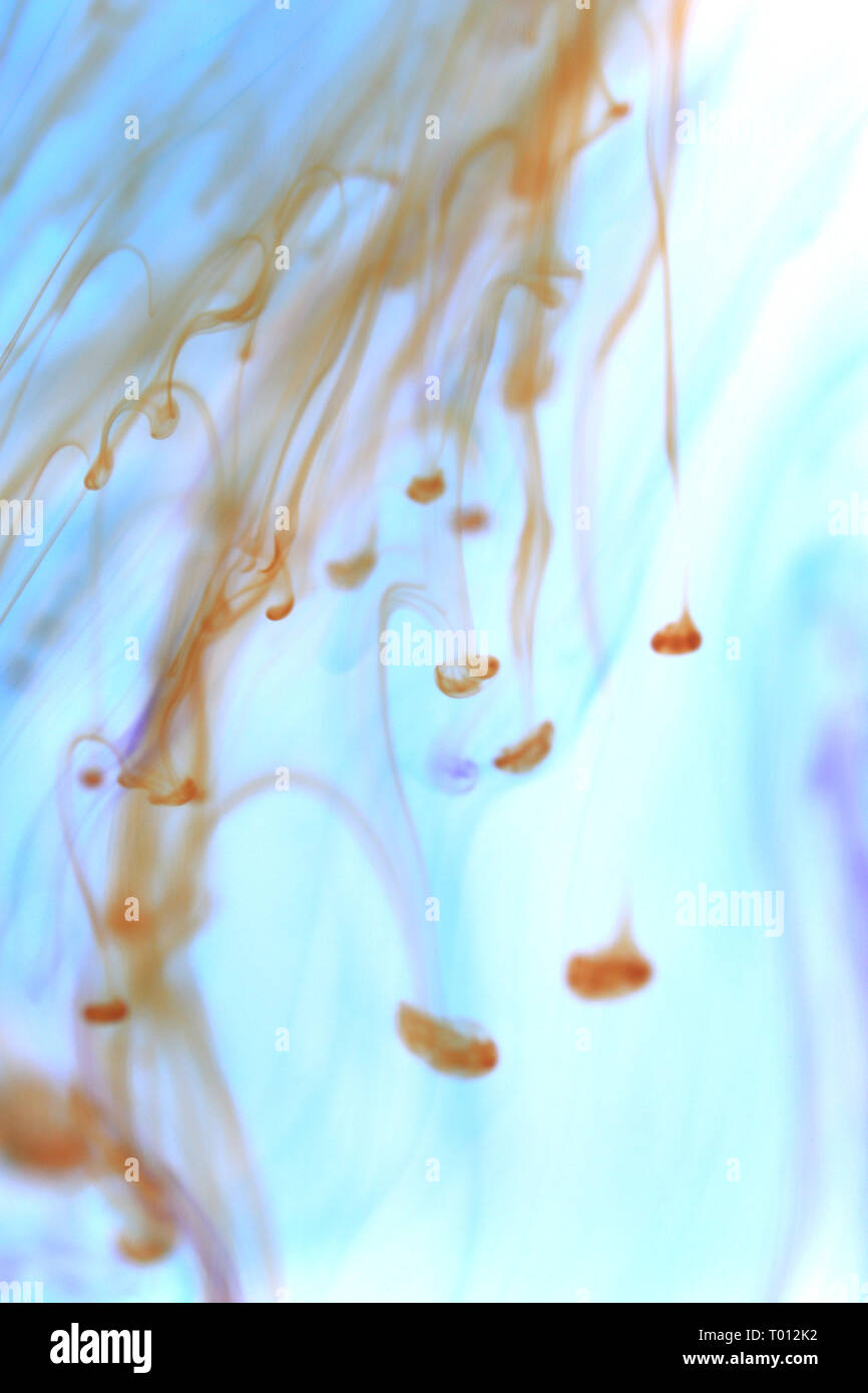 Ink falling hi-res stock photography and images - Alamy