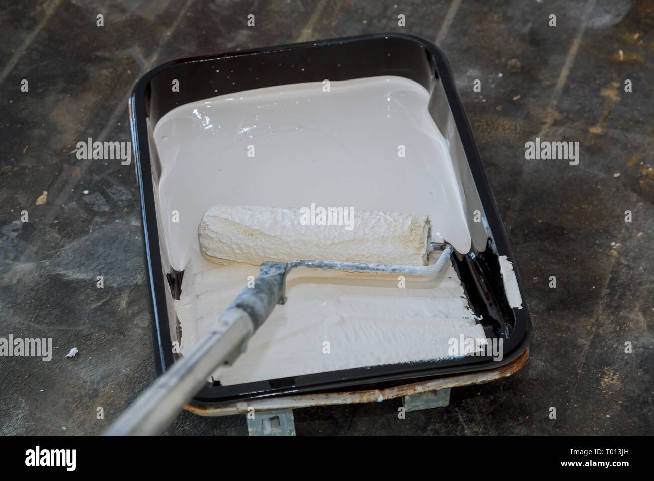 Set for realistic wall painting in paint tray and roller during ...