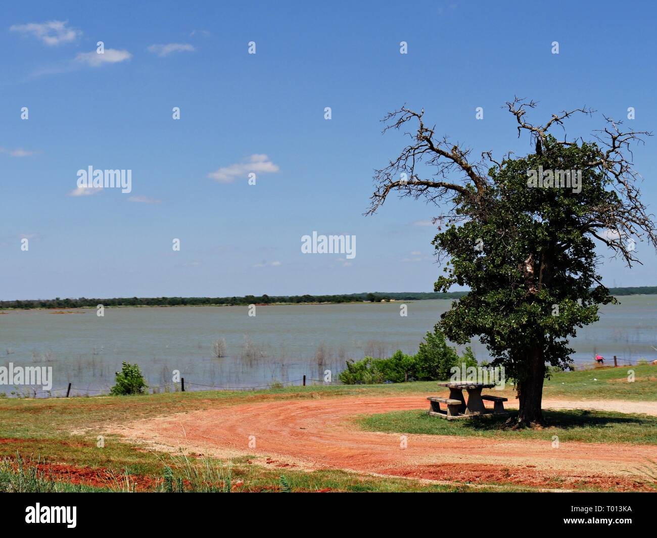 A small picnic table and benches under a small tree beside Lake Stanley ...