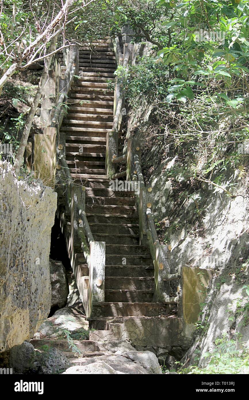 A long flight of cemented steps among corals and rock formations ...