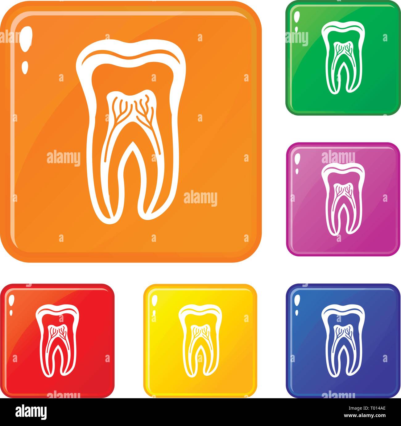 Tooth structure icons set vector color Stock Vector Image & Art - Alamy