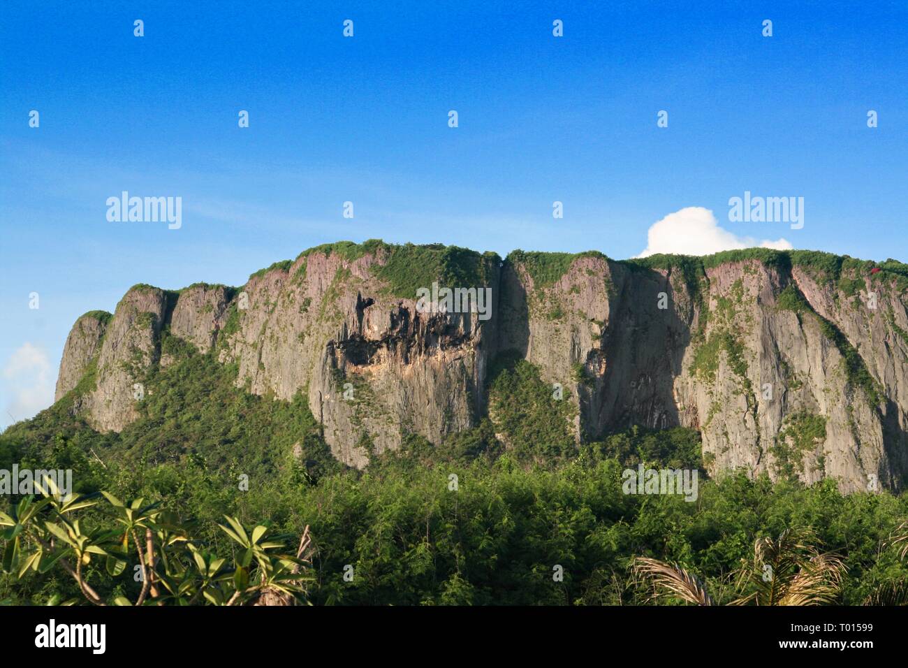 Banzai cliffs hi-res stock photography and images - Alamy